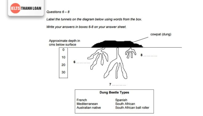 Cách Làm Dạng Diagram Label Completion Trong IELTS Reading