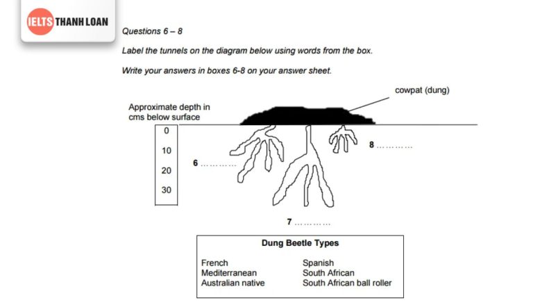 Cách Làm Dạng Diagram Label Completion Trong IELTS Reading